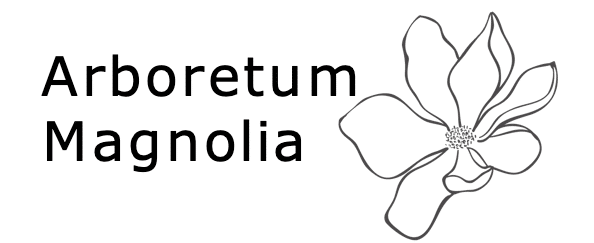 Axina Oy | Voimaantumista ja hyvinvointia metsäpuistossa